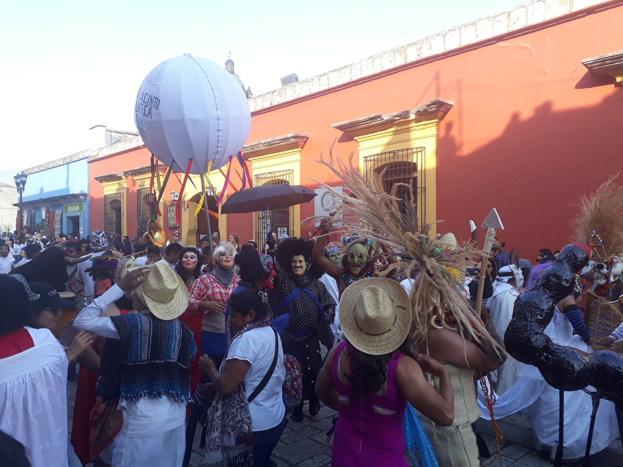 Our List of 25 Fun Things to do in Oaxaca City | Nomadic AF