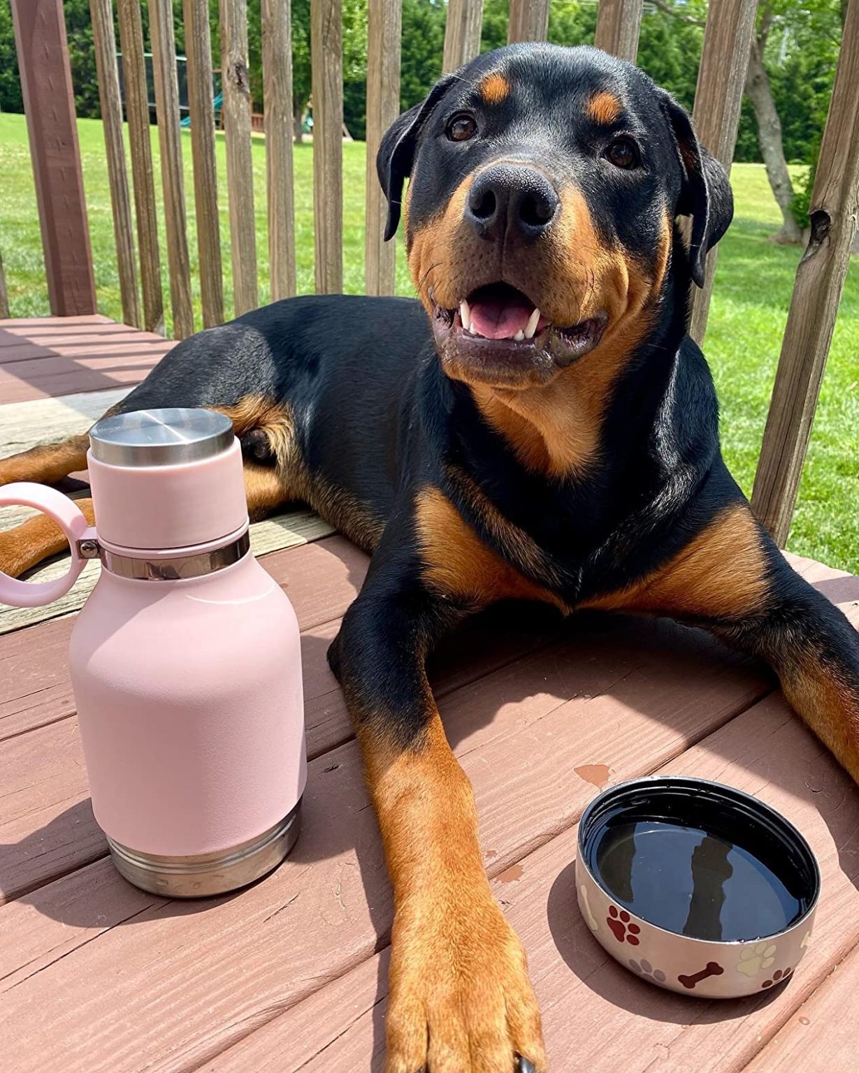A Dog Water Bottle from Asobubottle.com is a Must for Traveling