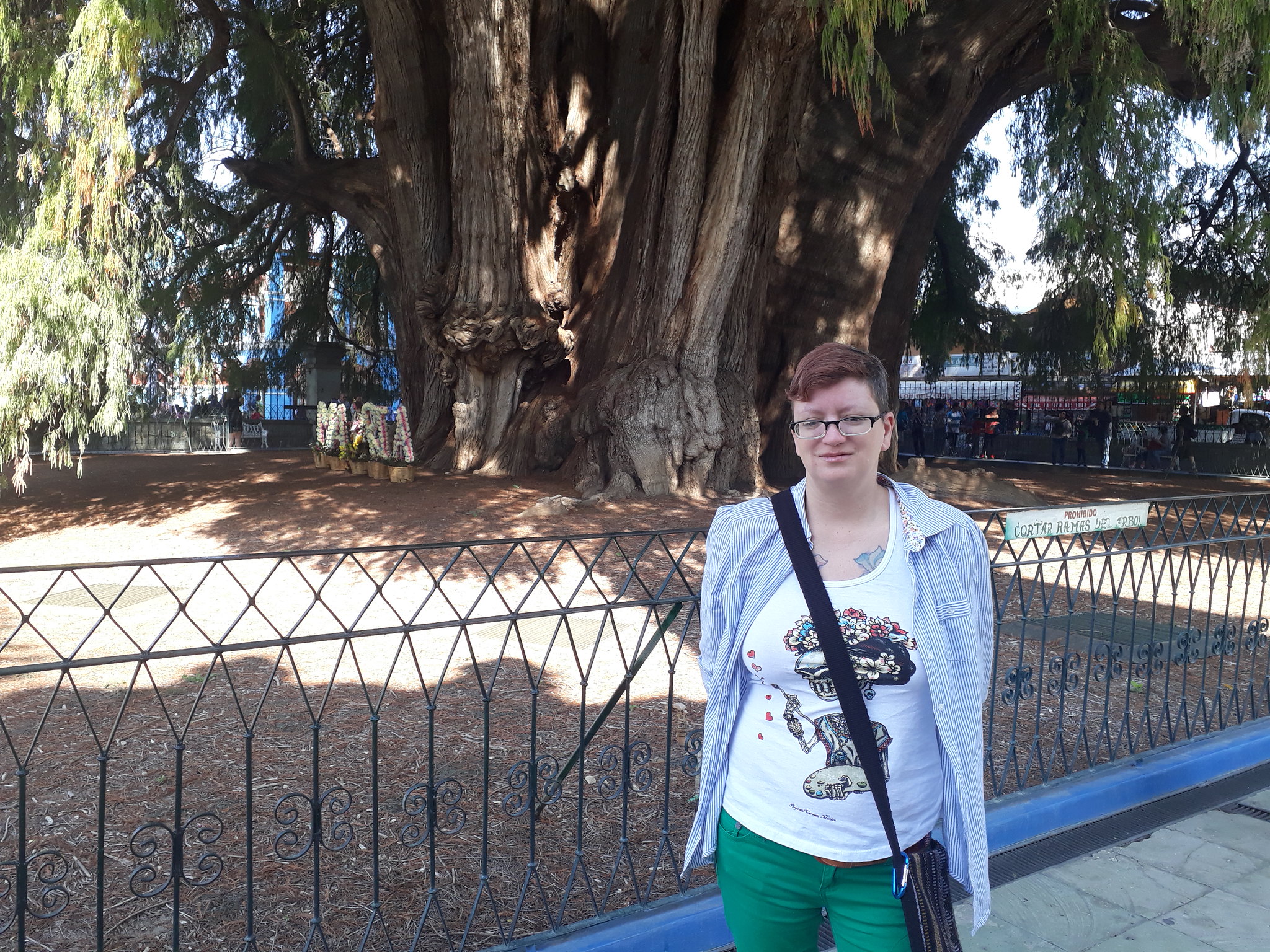 Bike Ride To El Tule Oaxaca - A Leisurely Ride to Tomaltepec