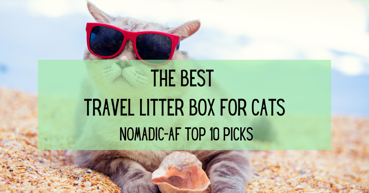 The Best Travel Litter Box for Cats: Nomadic-AF Top 10 Picks